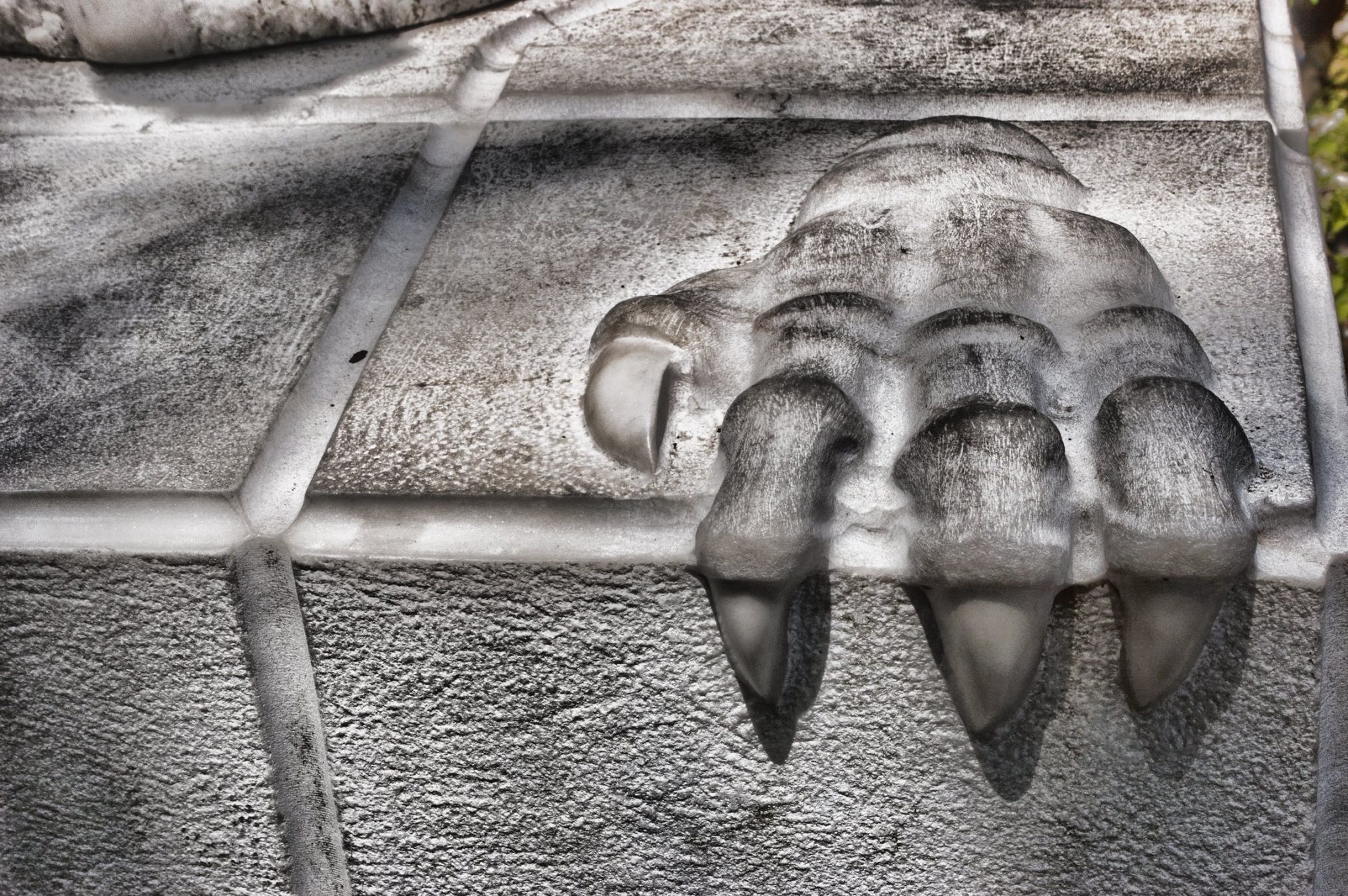 Dad the Dragon Slayer: Encouragement for Homeschool Dads | Classical ConversationsClassical ...