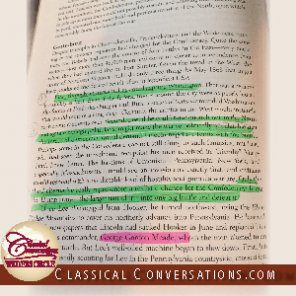 How to Be a Great Reader: A 4-Step Highlighting System (Updated for ...